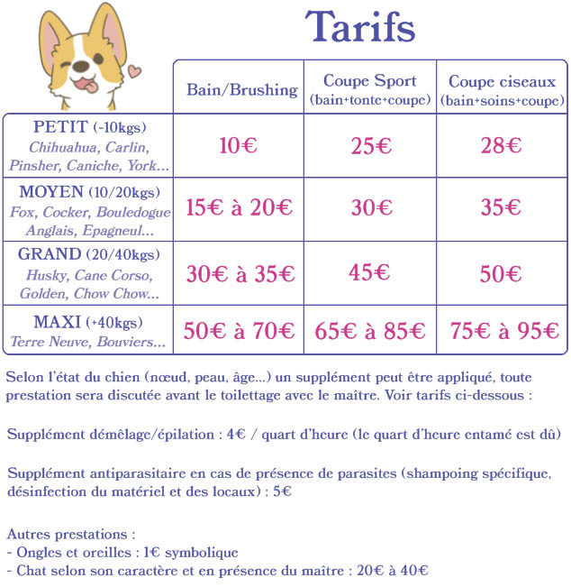 Toilettage Gros Chien Tarif