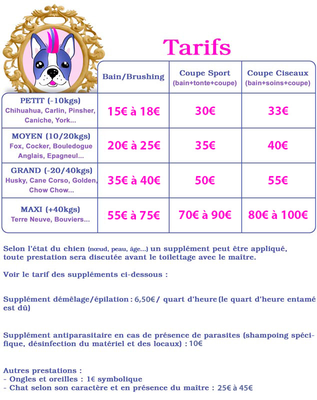 Toilettage Gros Chien Tarif